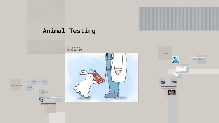 The Harmful Effects of Animal Testing by Lal Şentürk on Prezi