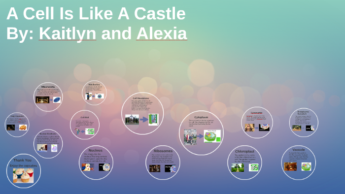 A Cell Is Like A Castle by projects for science on Prezi
