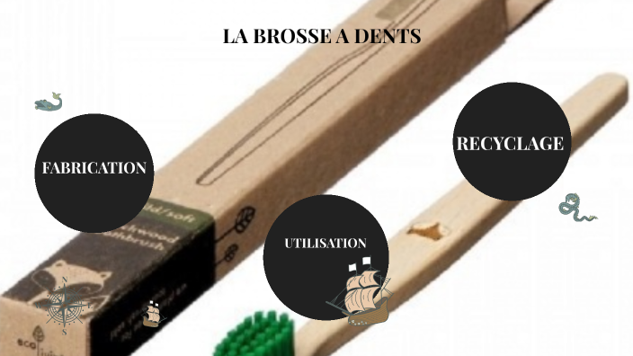 LE CYCLE DE VIE DE LA BROSSE A DENTS by Rajana arsunkaeva on Prezi