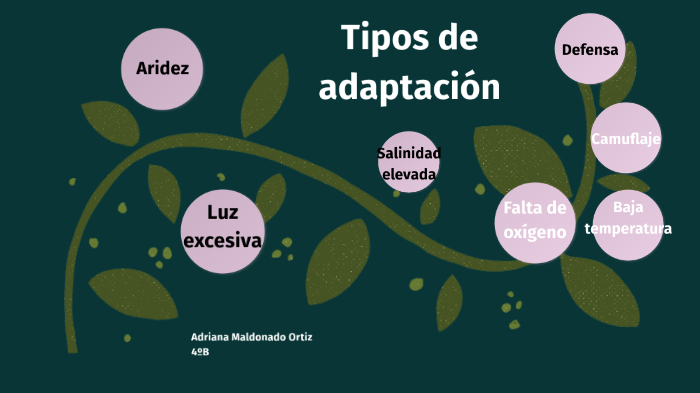 Tipos de adaptaciones by Adriana Maldonado on Prezi