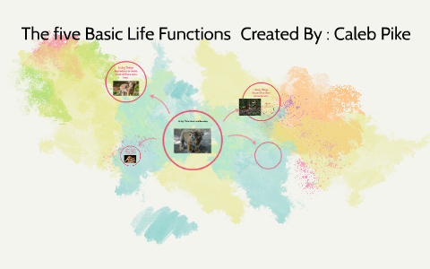 The Five Basic Life Functions by REBECCA BAGGETT on Prezi