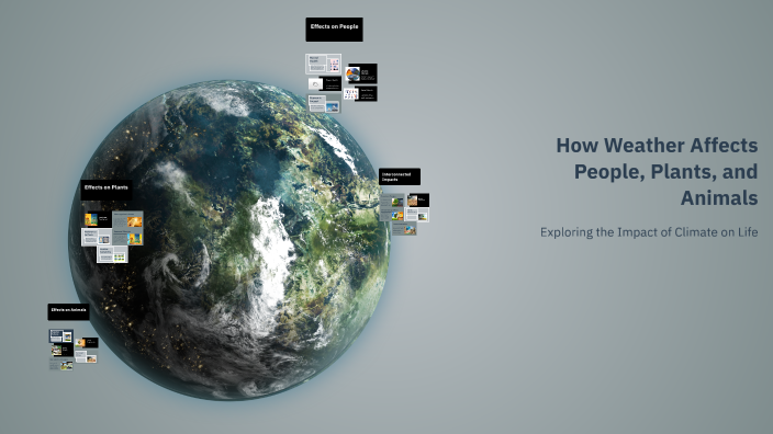 How Weather Affects People, Plants, and Animals by PEARL DALIOPAC on Prezi