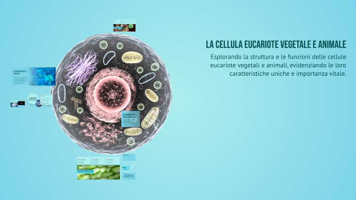 La cellula eucariote vegetale e animale by Giorgia Occhipinti on Prezi