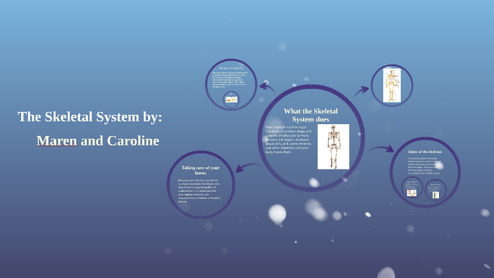 The Skeletal System by 7th Grade on Prezi
