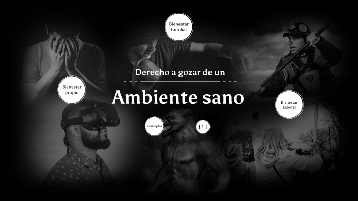 Derecho a gozar de un hambiente adecuado by Sofía Raquel Cortez ...