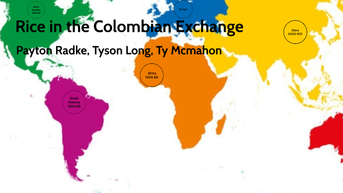 AP World History- Colombian Exchange: Rice by _Payton _Radke on Prezi