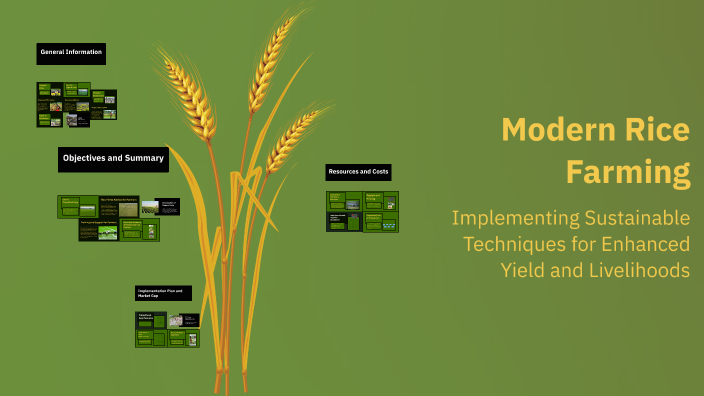 Modern Rice Farming by Rogie Oximoso on Prezi