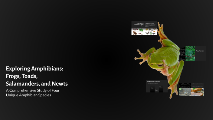 Exploring Amphibians: Frogs, Toads, Salamanders, and Newts by XAVIER ...