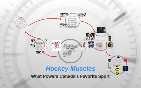 Hockey Muscles by Jerrit V on Prezi