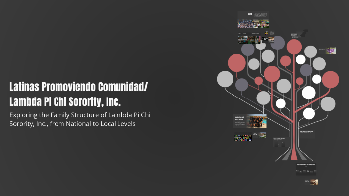 Latinas Promoviendo Comunidad/Lambda Pi Chi Sorority, Inc. by Alpha ...