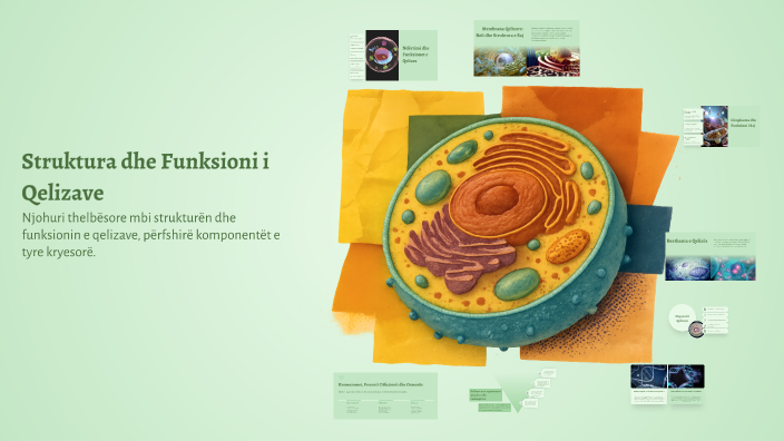 Struktura dhe Funksioni i Qelizave by Aulona Nurbojaa on Prezi