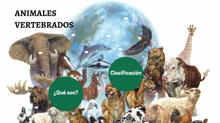 ANIMALES VERTEBRADOS by Isabel Olaya on Prezi