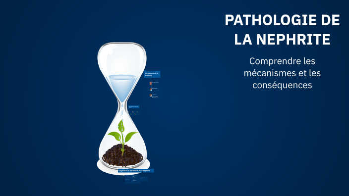 PATHOLOGIE DE LA NEPHRITE by hajar Ahmidan on Prezi