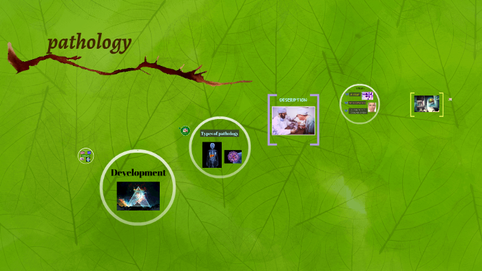 Types of pathology by Roxana Hernandez . A on Prezi Next