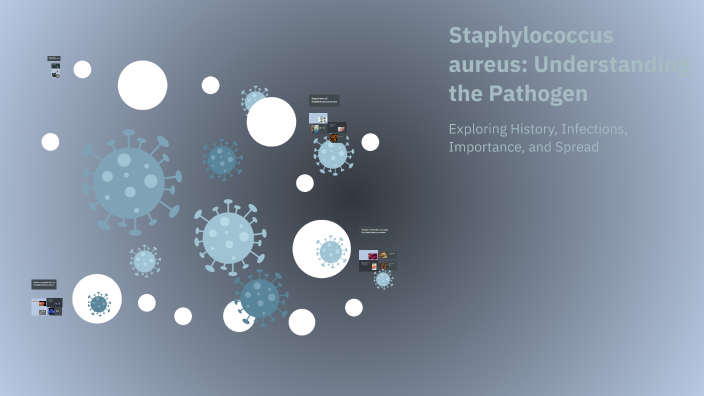 Staphylococcus aureus: Understanding the Pathogen by iliana Solis on Prezi