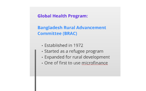 BRAC's WASH program + logic model by Hillary Epperson on Prezi
