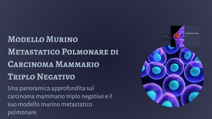 Modello Murino Metastatico Polmonare di Carcinoma Mammario Triplo ...