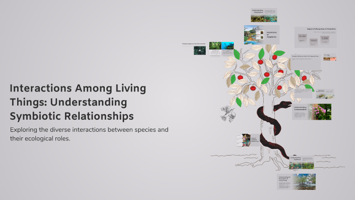 Interactions Among Living Things: Understanding Symbiotic Relationships ...