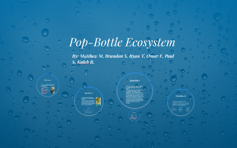 Pop-Bottle Ecosystem by Matt Martinez on Prezi