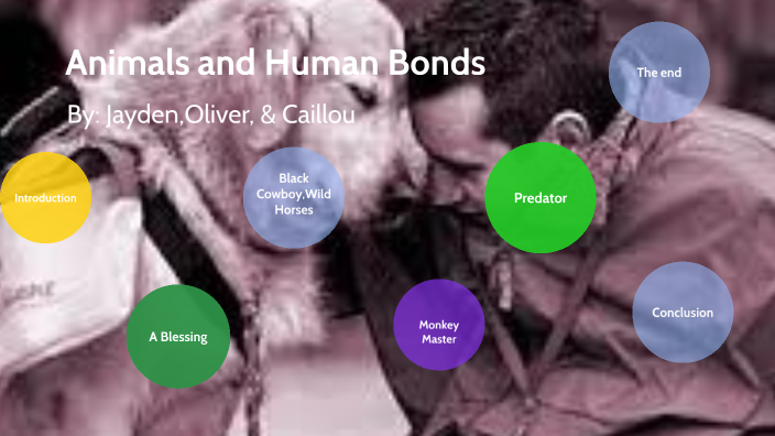 Animals and Human Bond by Oliver Beckman on Prezi