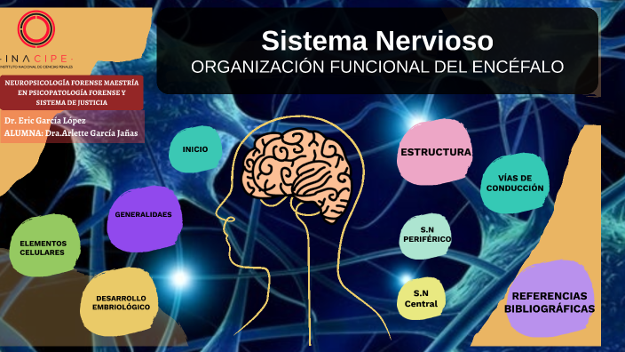 Sistema Nervioso by arlet garcia on Prezi
