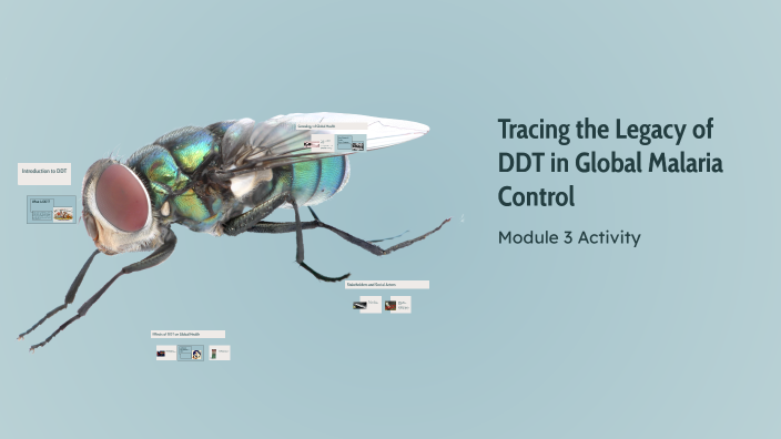 Tracing the Legacy of DDT in Global Malaria Control by yella tech on Prezi