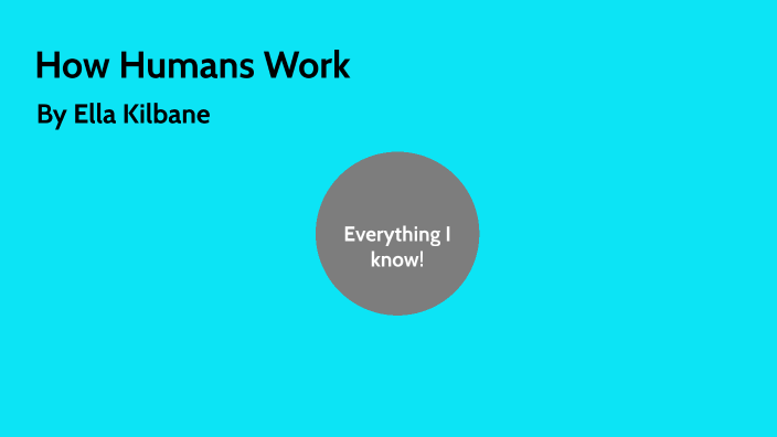 How Humans Work by Ella Kilbane on Prezi