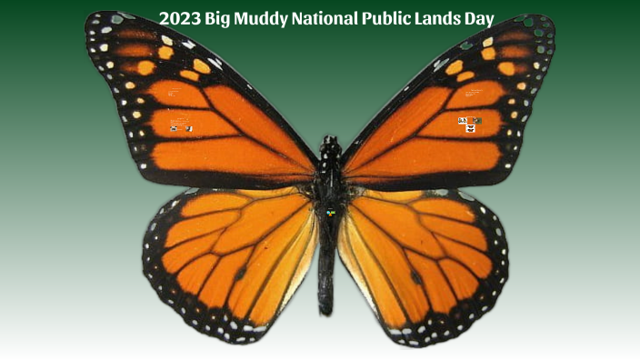2023 NPLD by Savanna Christensen on Prezi
