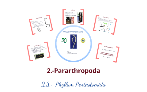 "PHYLLUM PENTASTOMIDA" by Pedro Sandoval Hernandez on Prezi