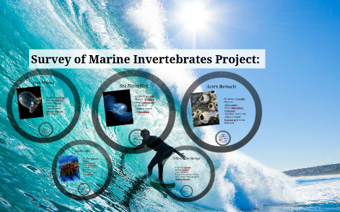 Survey of Marine Invertebrates Project: by Gladis Acosta on Prezi