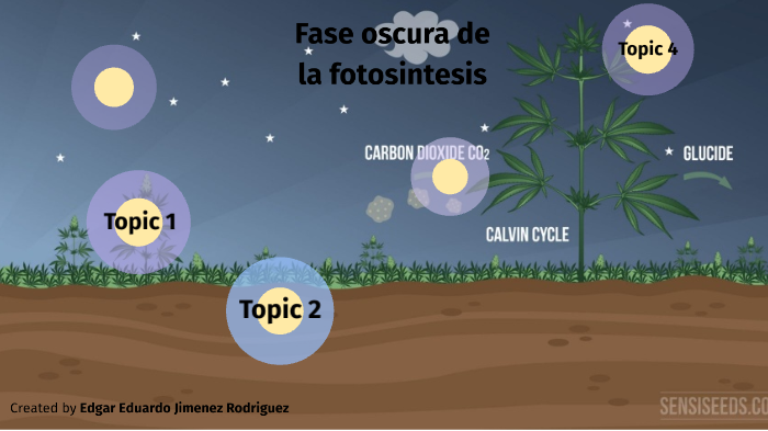 La foto sentisis by edgar jimenez on Prezi