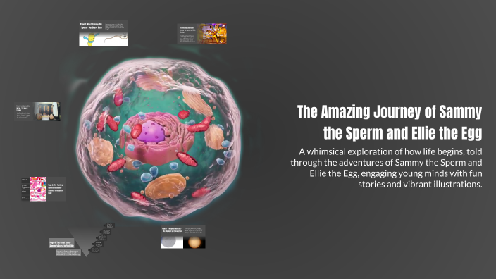 The Amazing Journey of Sammy the Sperm and Ellie the Egg by Shubh ...