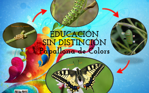 Proyecto Integrado: Papallona de colors by Cristina Ferrando Sánchez on ...