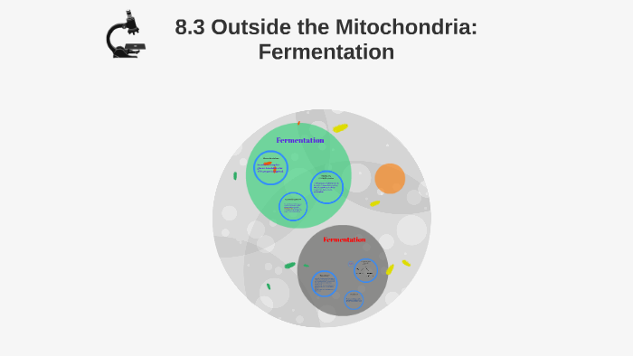 8.3 Outside the Mitochondria: Fermentation by melina alferoff on Prezi