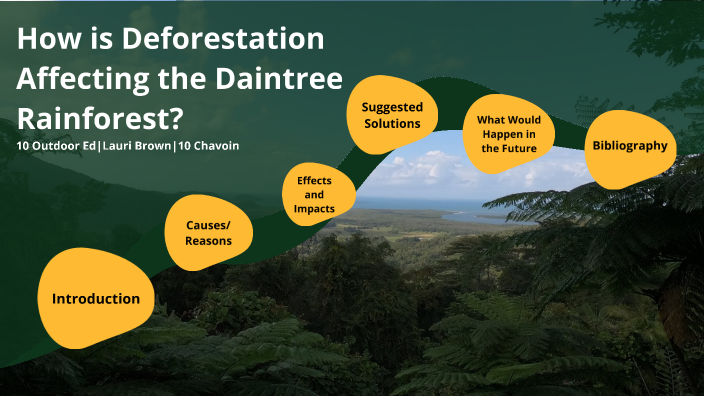 How is Deforestation Affecting the Daintree Rainforest? by Lauri Brown ...