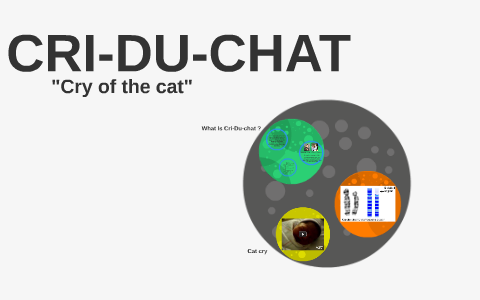 CRI-DU-CHAt by rose rezendes on Prezi