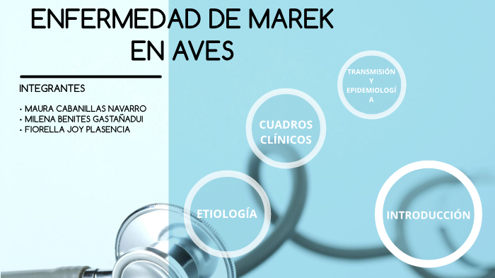 ENFERMEDAD DE MAREK EN AVES by fiorella Joy on Prezi