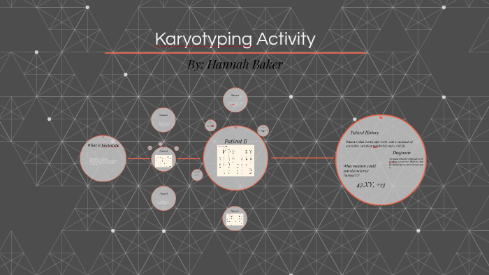 Karyotyping Activity by Hannah S. Baker on Prezi