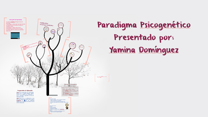 Paradigma Psicogenético by YAMINA DOMINGUEZ SANCHEZ on Prezi