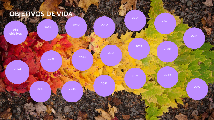 OBJETIVOS DE VIDA by Maritza Bedolla on Prezi
