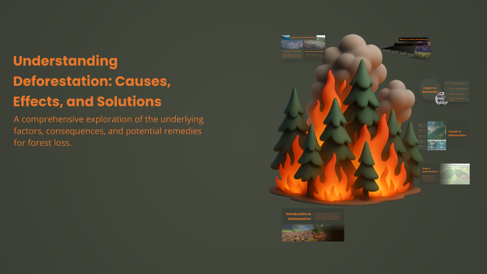 Understanding Deforestation: Causes, Effects, and Solutions by Atif ...