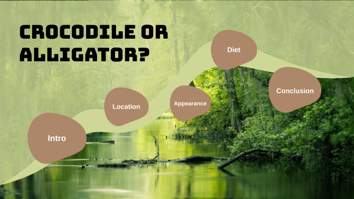 Alligators vs Crocodiles by Alexandra Benner on Prezi