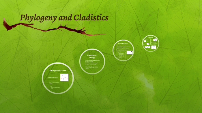 Phylogeny and Cladistics by Jessica Bevins on Prezi
