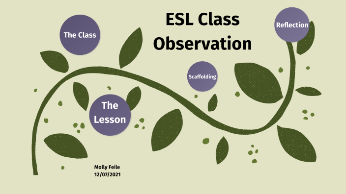 ESL Class Observation Report by Molly Feile on Prezi