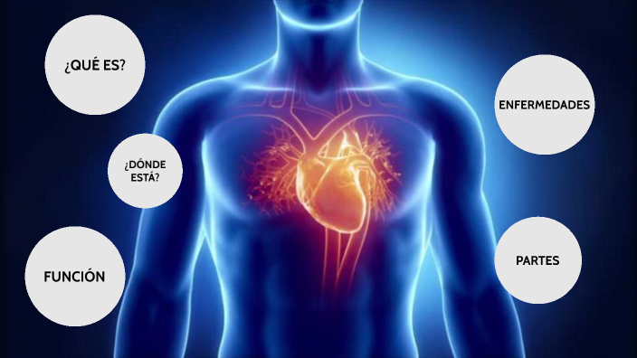 EL CORAZÓN HUMANO by popo popo on Prezi