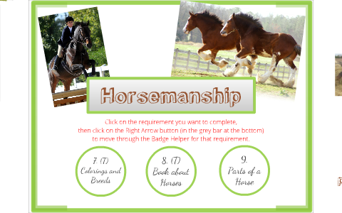 Horsemanship Badge Helper - Tenderheart by Karin S ~ AHG on Prezi
