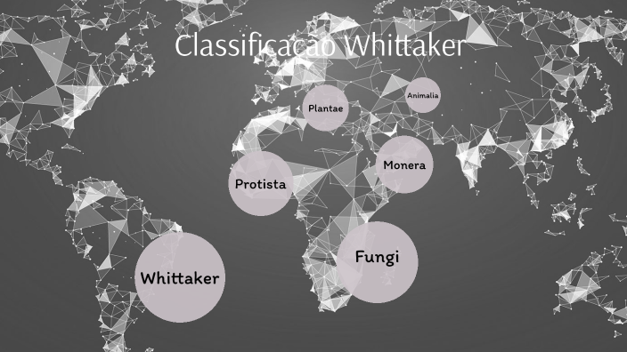 Classificação de Whittaker by ANDRE SANTOS on Prezi