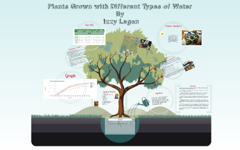 How the Type of Water Affects Plant Growth by Izzy L on Prezi