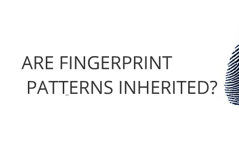 Are Fingerprint Patterns Inherited by jacobo montes gomez on Prezi