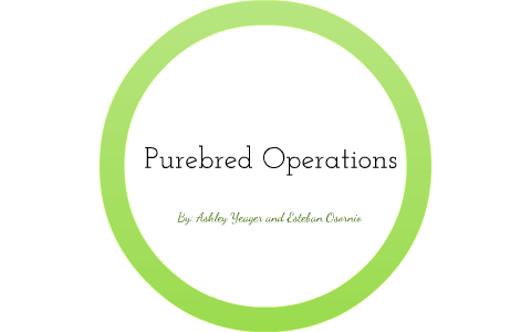 Purebred Operations by Ashley Yeager on Prezi